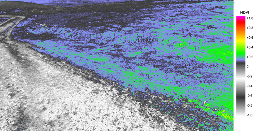 Fiji for OS X with NDVI Plugin